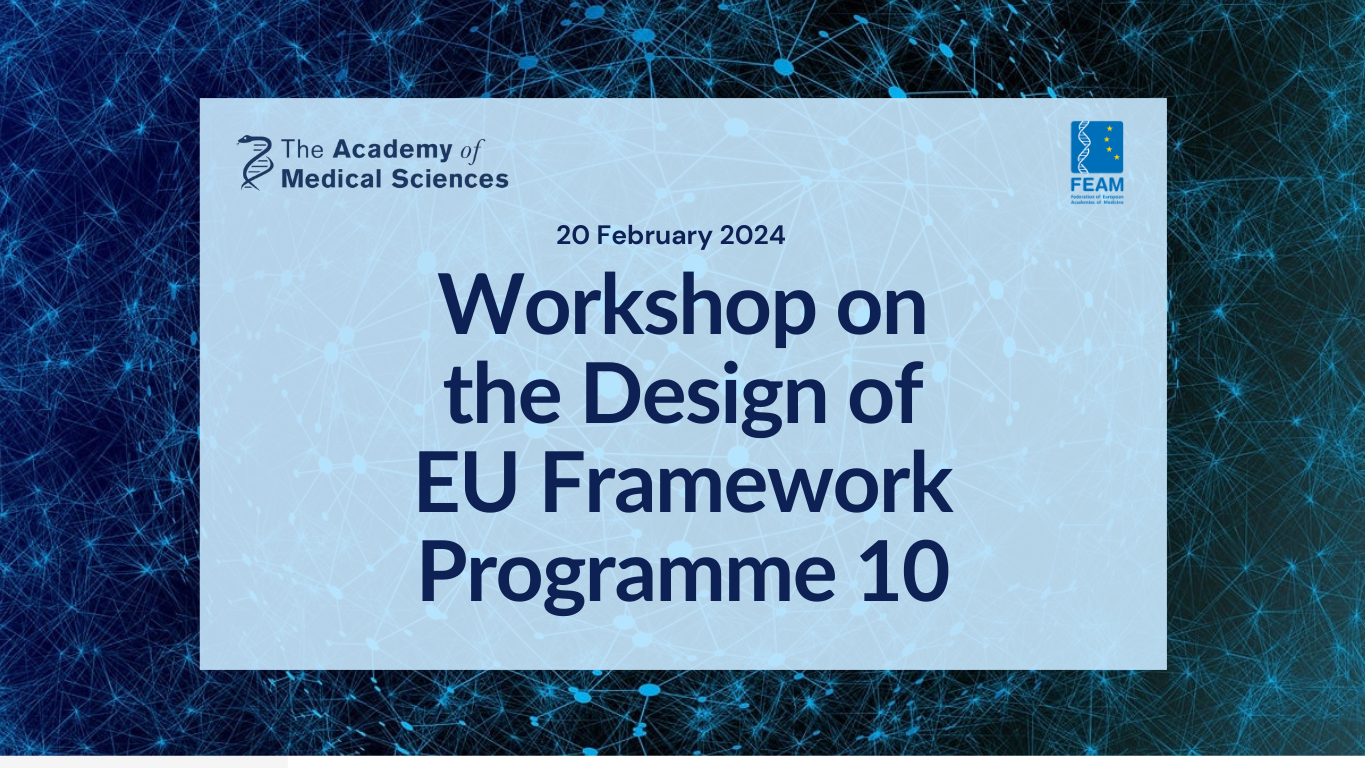FEAM and UK Academy of Medical Sciences Host Workshop on EU Framework Programme 10 | FEAM