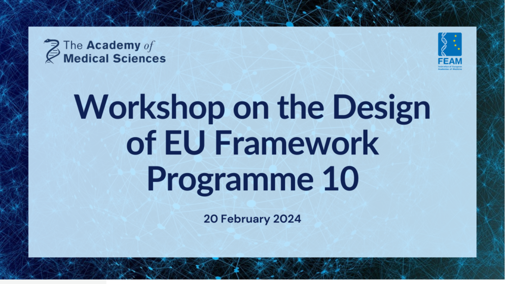 FEAM and UK AMS Workshop on the Design of the EU Framework Programme 10 ...